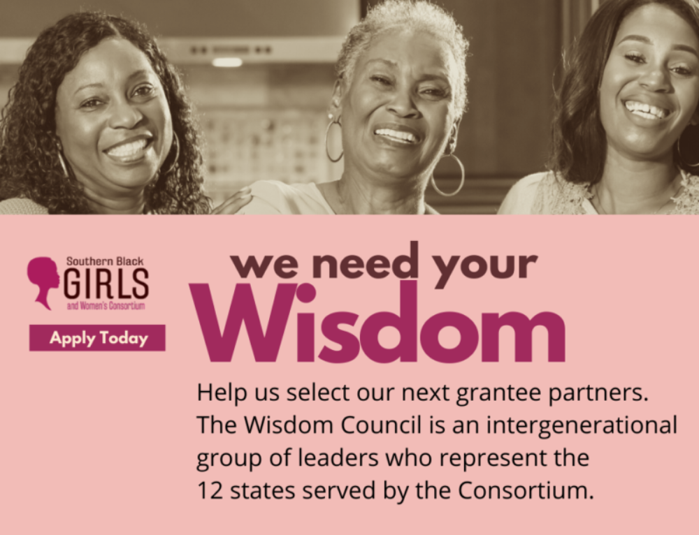 Youth Ambassadors – Southern Black Girls